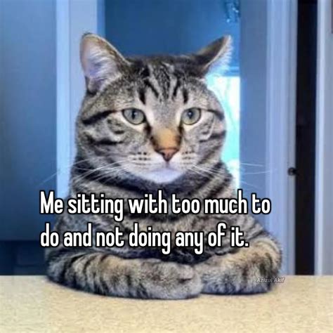 21 Best Funny Procrastination Memes Anxiety Coaching Counselling