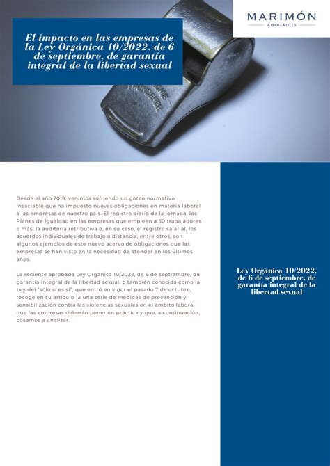 El Impacto En Las Empresas De La Ley Orgánica 102022 De Garantía