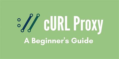 Curl Proxy A Beginners Guide — Rapidseedbox