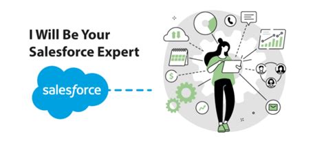 Optimize Salesforce For ROI Peeklogic