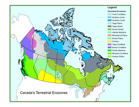 Forest Classification Natural Resources Canada