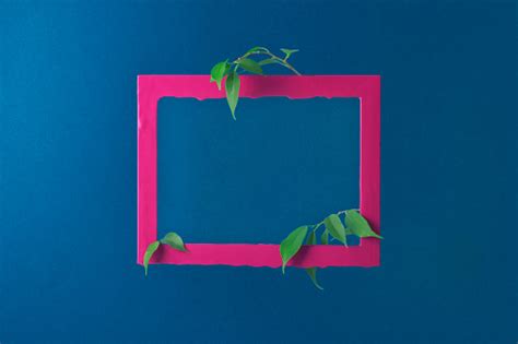 분홍색 직사각형 프레임과 진한 파란색 배경에 나뭇잎이있는 가지의 창조적 인 레이아웃 0명에 대한 스톡 사진 및 기타 이미지 0명 공란 디자인 Istock
