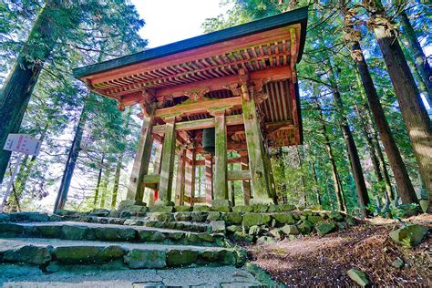 日本京都比叡山，国宝级的佛国大樱花山道 延历寺