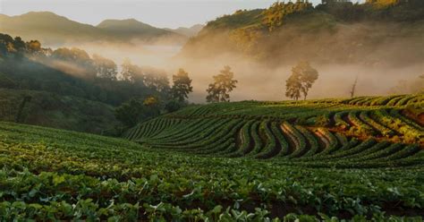 Latex File Submission Guidelines Science Societies