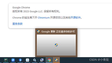 Chrome 关闭自动更新及右上角更新弹窗关闭chrome更新检查 Csdn博客