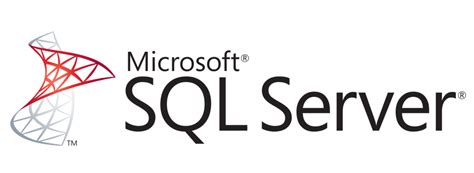 Sql Server Come Fare Un Backup Completo Del Database