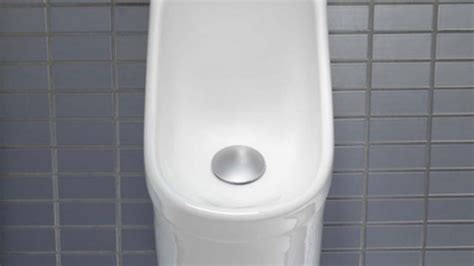 Natural Toilet Cleaner Best Toilet Cleaner Bowl Cleaner