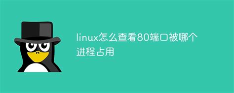 Linux如何查看80端口被哪个进程占用 美云