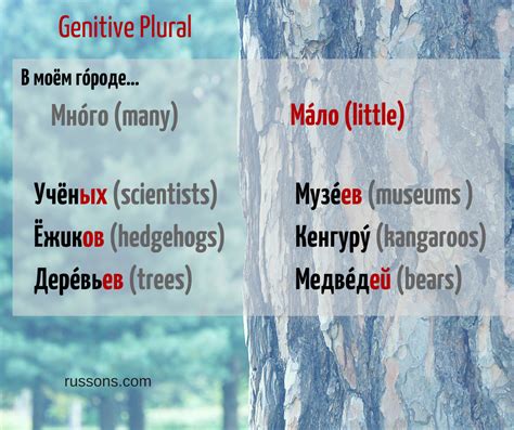 Много and Мало - Genitive plural #russiangrammar
