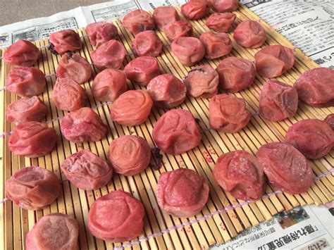 梅干しの作り方〜その3 干す 梅干し野郎！の梅仕事〜好きなんだよ、梅干しが！〜