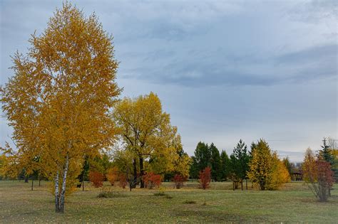 풍경 공원 나무 Pixabay의 무료 사진 Pixabay