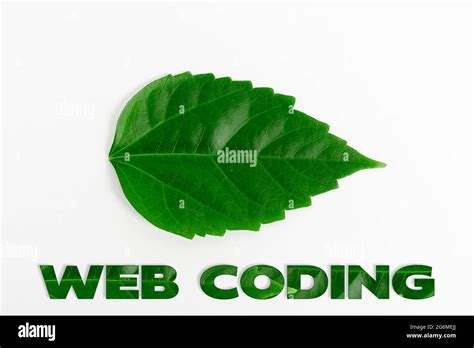 Text Caption Presenting Web Coding Business Idea A System Of Symbols
