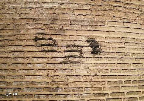 یادگارنویسی؛ بی وفایی در برابر ارگ کریم خان زند تصاویر