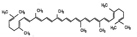 Lycopene Structure