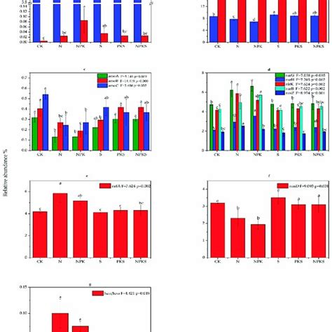 Relative Abundance Of Functional Genes Participating In The N Cycle Download Scientific Diagram