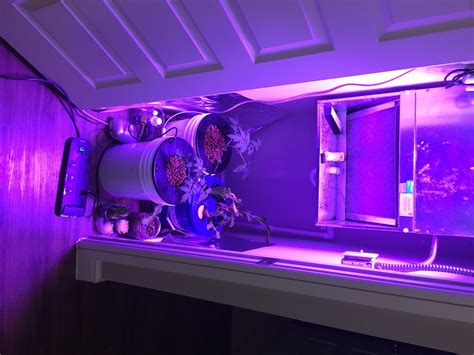 Lettuce For Life Arduino 101 Based Automated Controller For
