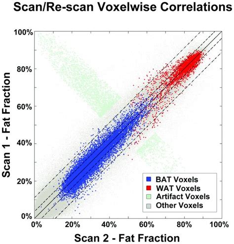 Voxel By Voxel Fat Fraction Correlation Between Scans Strong Voxelwise Download Scientific