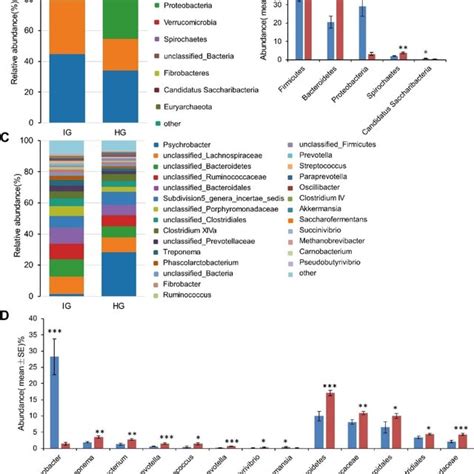 Bacterial Compositions In The Gut A Phylum C Genus In Hg And Ig