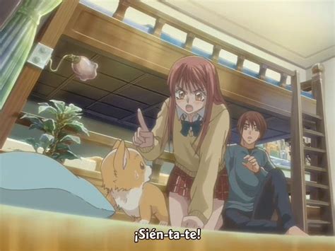 Boku Wa Imouto Ni Koi Wo Suru Anime Koi Art