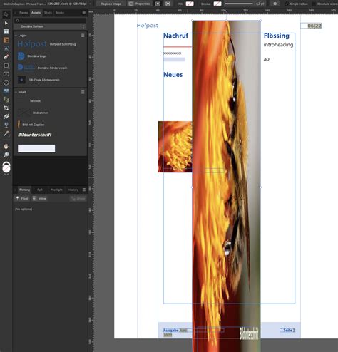 Image Frame Asset Deformed On Placement V2 Bugs Found On Macos Affinity Forum