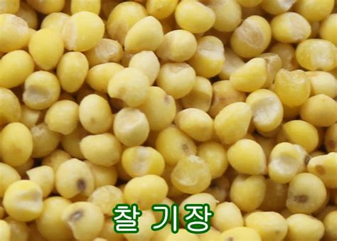 [쌀아지매 국산 찰기장쌀 기정쌀 토종 노란 찰기장1kg]