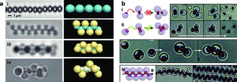 Magnetic Based Assembly A Magnetic Assembly Of Colloidal Particles