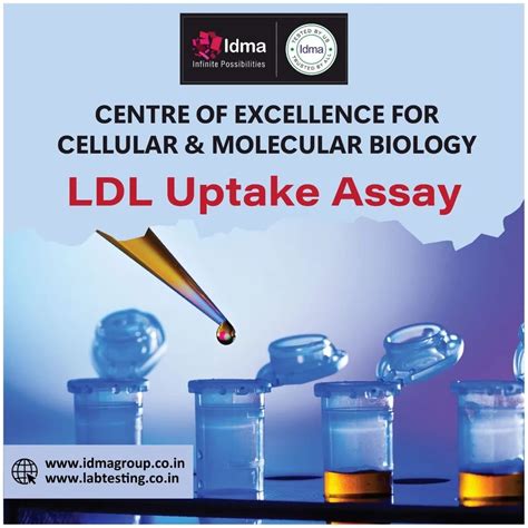 Ldl Uptake Assay In Panchkula By Idma Laboratories Limited Id