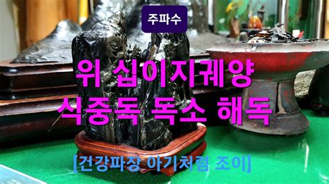 보석건강파장 아기처럼 위장 헬리코박터균 제거 십이지궤양ㅡ식중독 독소 해독 도움 염증제거 Youtube