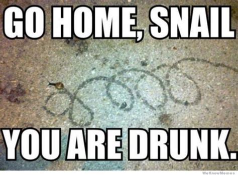 Go Home Youre Drunk 23 Pics