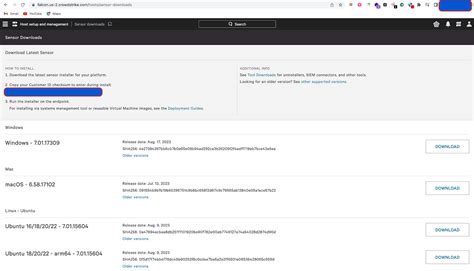 Vulnerability Prioritisation Crowdstrike Falcon Spotlight
