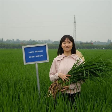 我校学子在2025 外研社·国才杯” 理解当代中国”全国大学生外语能力大赛中斩获奖项 四川农业大学新闻网