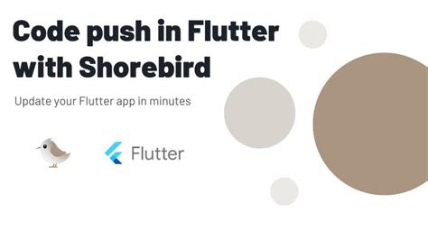 Mobileapps Techinnovation Shorebird Instantupdates Appdevelopment Hiren Bharodiya