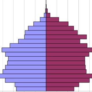The Age And Sex Pyramid Of The Population Of The Northern Economic Download Scientific Diagram