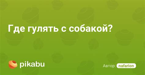 Где гулять с собакой Пикабу