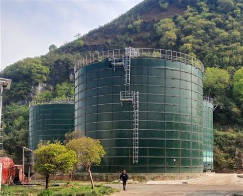 Large Scale Biogas Equipmentgas Holder Manufacturer