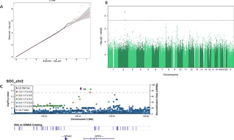 The Genome Wide Scan Of Sense Of Coherence A Quantile Quantile Plot Of Download Scientific