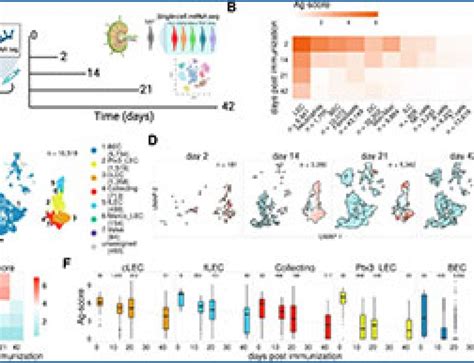 Multiomic Single Cell Dna Rna Sequencing Functional Phenotyping Of Genomic Variants Using