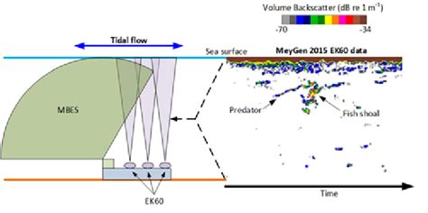 Multi Sensor Seabed Platforms That Combine Multi Frequency Echosounders Download Scientific