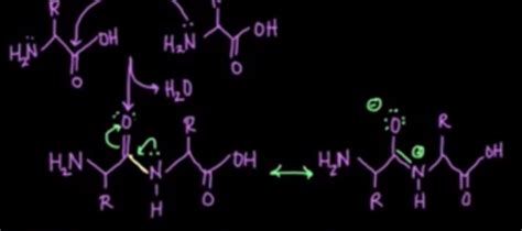 Mcat Biochem I Flashcards Quizlet
