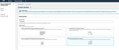 使用 Amazon Rekognition Custom Labels 训练一套定制化单类对象检测模型 亚马逊aws官方博客