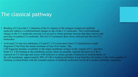The Complement System The Classical Pathway Of Complement Activation