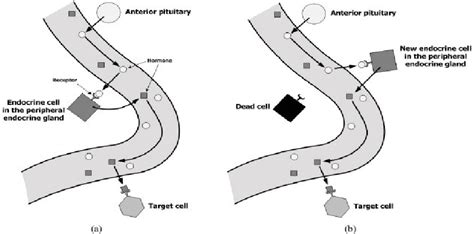 figure 2 from bio inspired fault tolerance in vlsi systems a survey