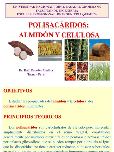 Estructura Y Propiedades De Almidón Y Celulosa Pdf Almidón