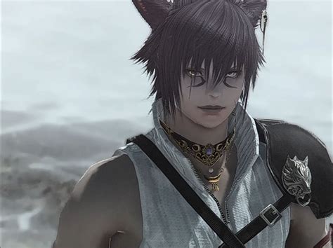 ff14 猫男铭牌点击就送 正义勇气与责任 FF14竖屏 哔哩哔哩视频