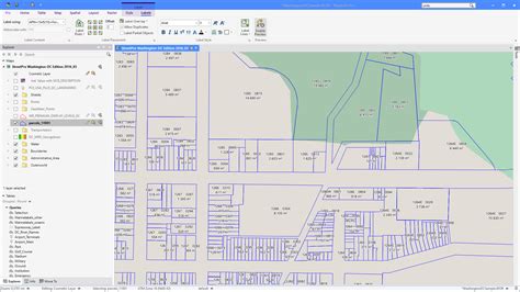Mapinfo Pro And Labelling With Expressions