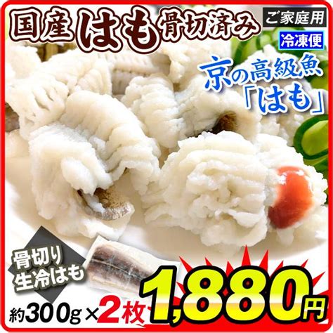 はも 600g（300g×2パック）国産 鱧 骨きり済み 瀬戸内海産 魚 冷凍便 食品 国華園 食みらい・国華園 通販 Yahoo