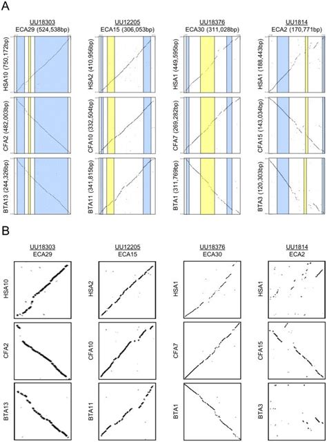 The Genomic Intervals Of The Unannotated Transcripts Are Highlighted In