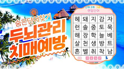 4문제이상 기억력 최우수 숨은단어찾기 치매예방 퀴즈 초성퀴즈 단어퀴즈 두뇌운동 뇌건강 치매테스트 기억력 집중력 강화 재밌는 퀴즈 Youtube