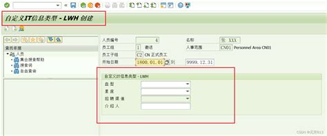 Sap Hr模块 Pa30 信息类型it的简单增强hr新增信息类型 Csdn博客