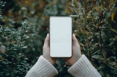 Mockup Blank White Screen Mobile Phone Stock Image Image Of Females